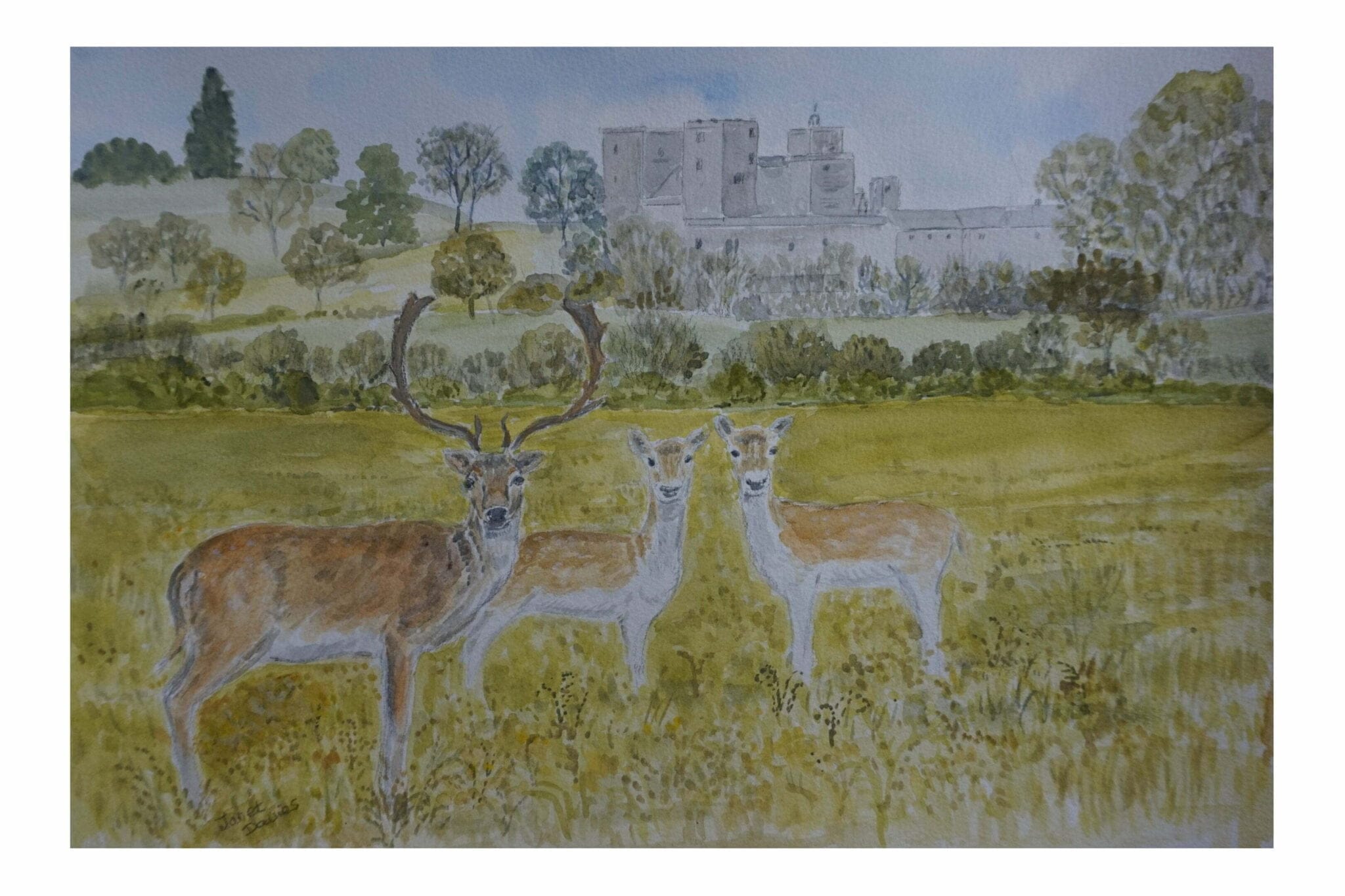 Deer At Powderham Castle. Painting. • Art Gallery SW