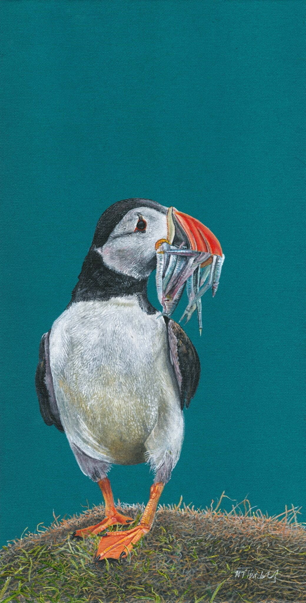 Puffin's Big Haul • Art Gallery SW