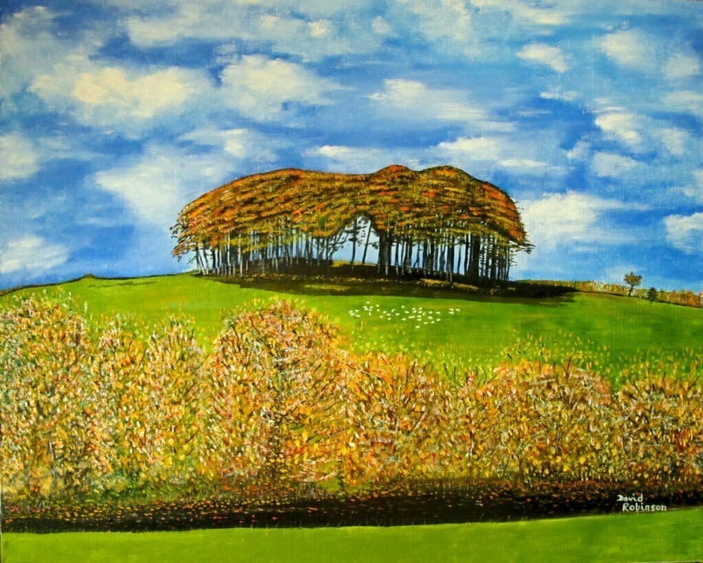 Copse of beech trees at Broadwoodwidger>'nearly home'.