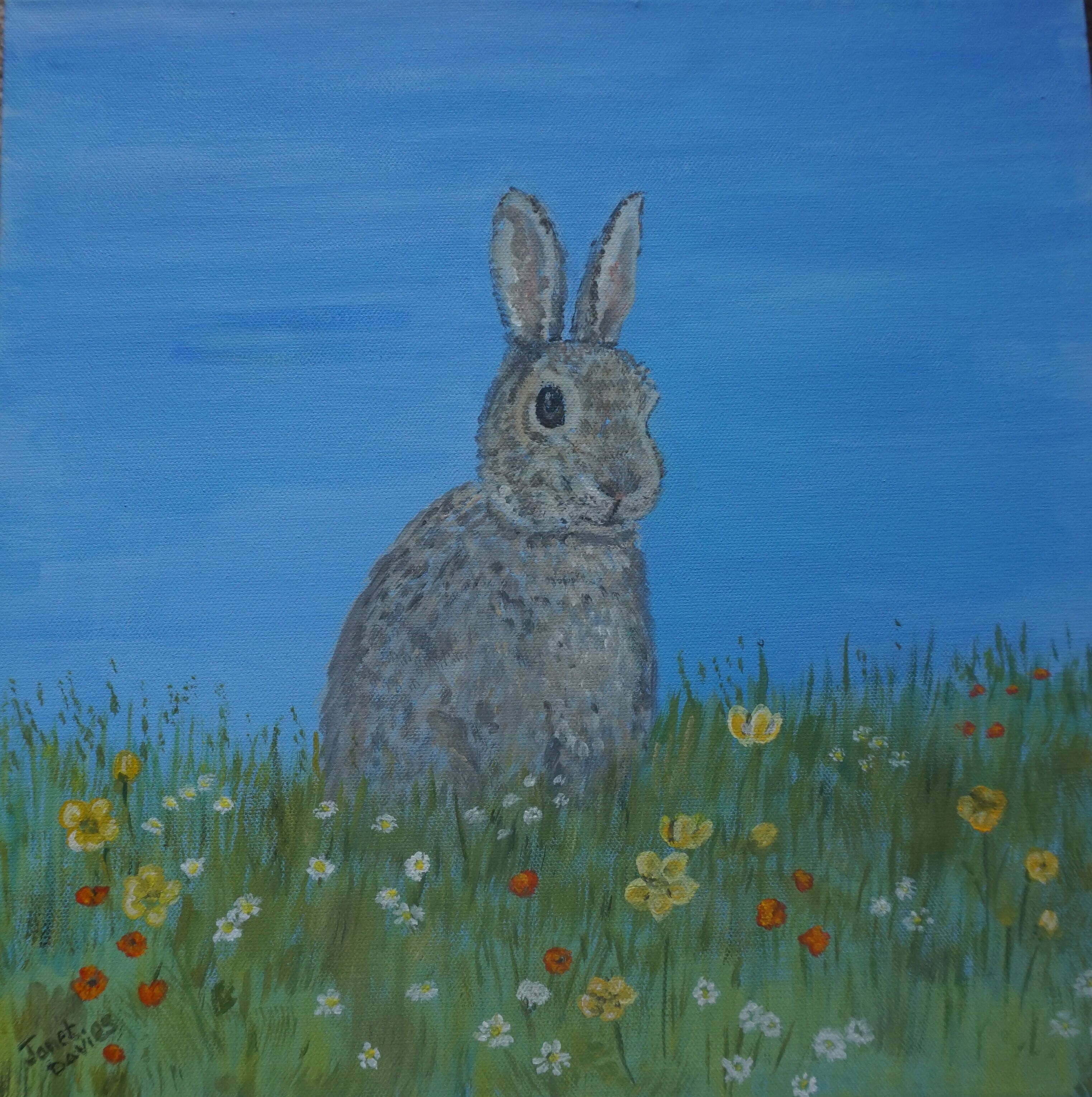 Rabbit And Wildflowers 1, original art on canvas - Art Gallery SW Ltd