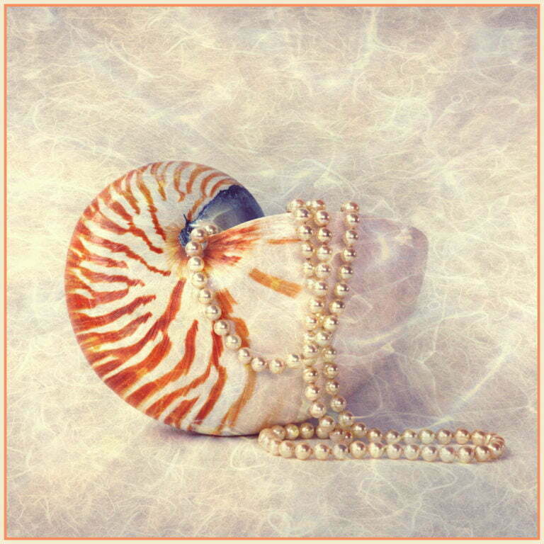 Textured close up photograph of a nautilus shell and a pearl necklace.
