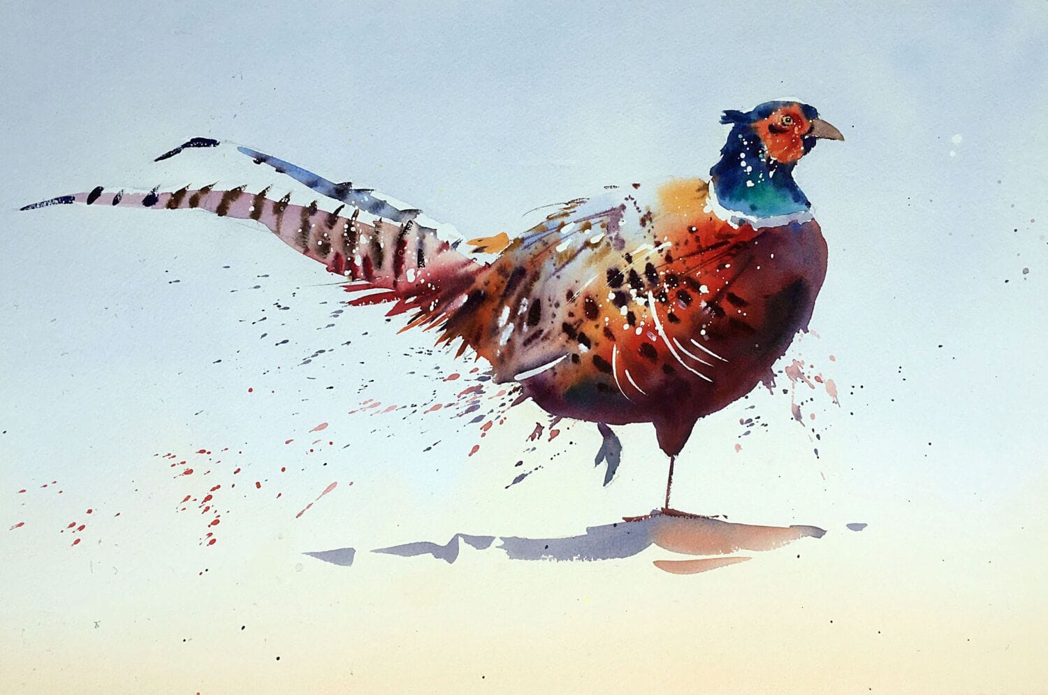 Pheasant Watercolor