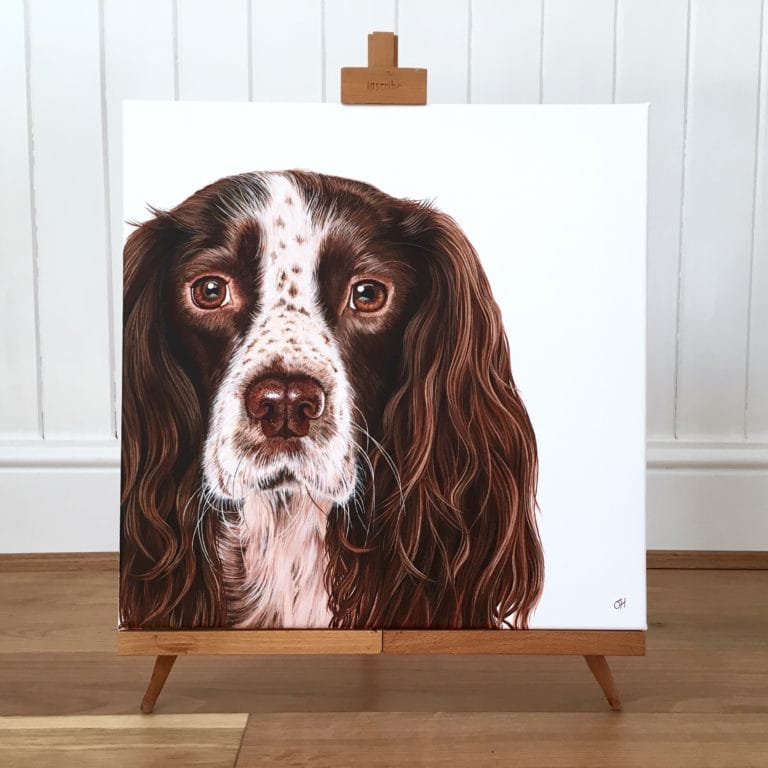 Springer Spaniel | limited edition canvas print | Art Gallery SW