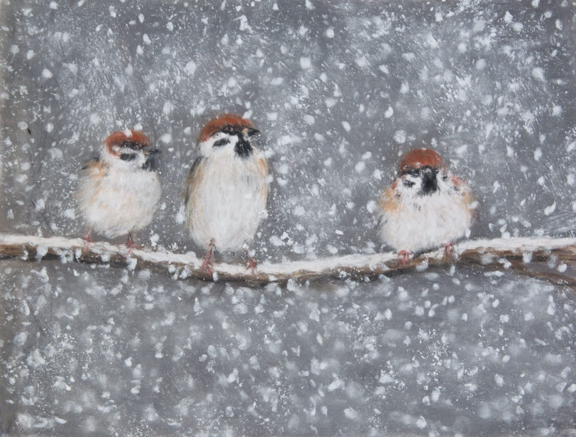 Three sparrows perched on a branch with snow falling.