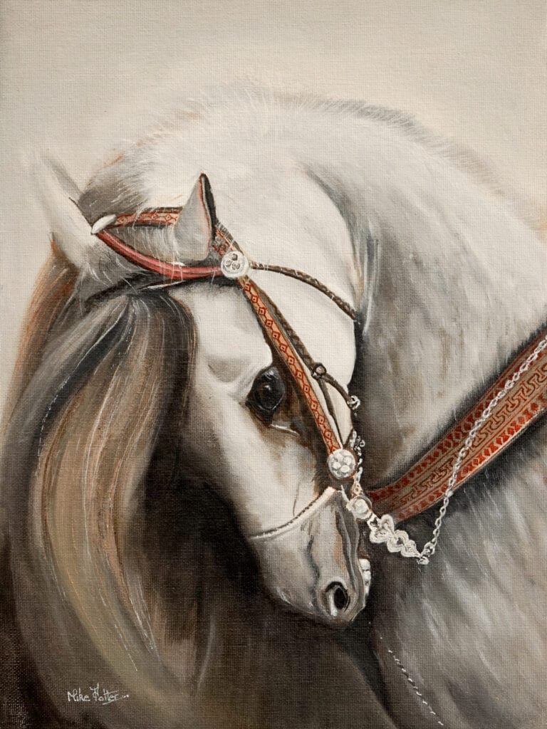Andalusian Horse by Mike Potter • Art Gallery SW