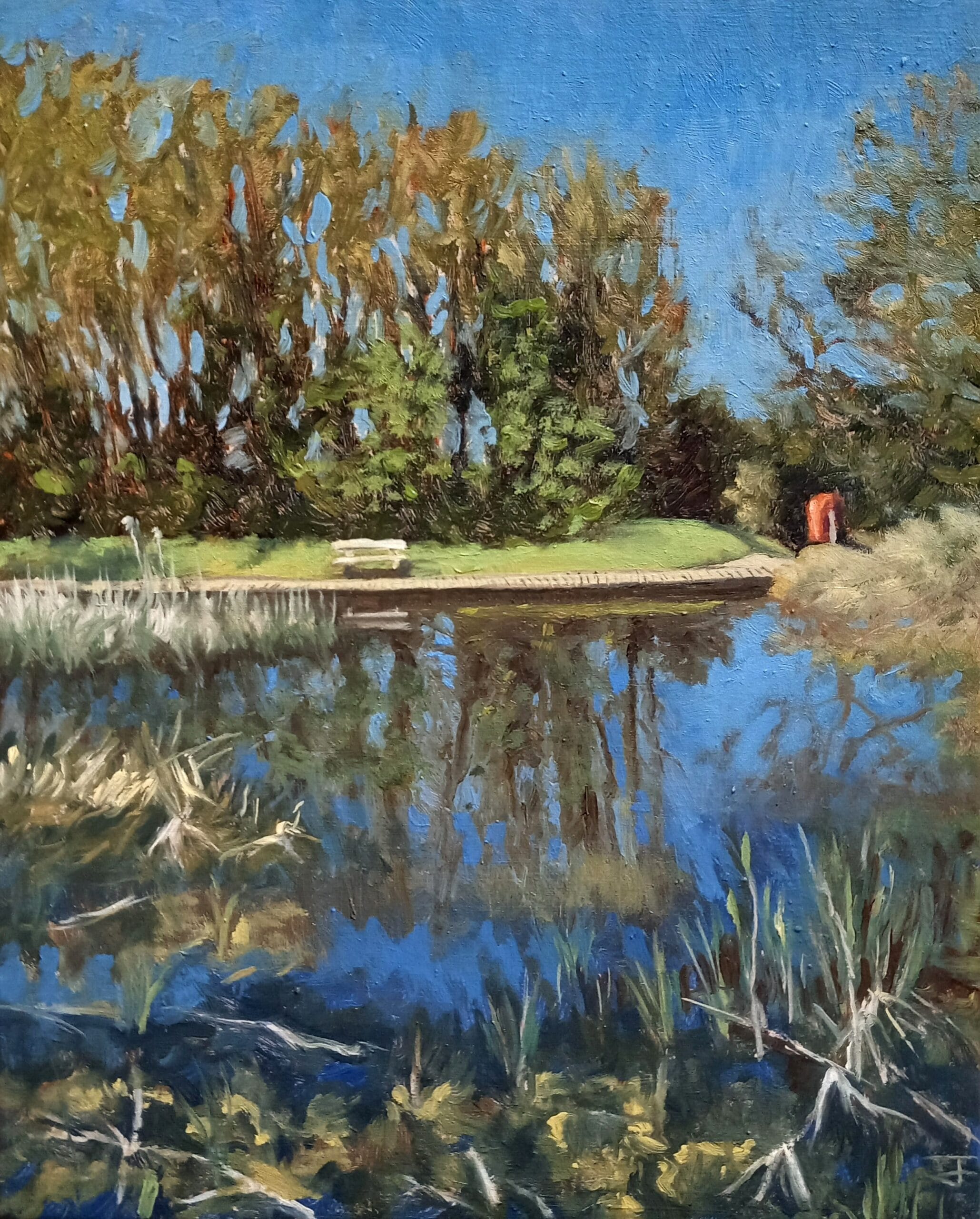 Penallta ponds tree reed reflection BY Steffan Johnson Art • Art Gallery SW