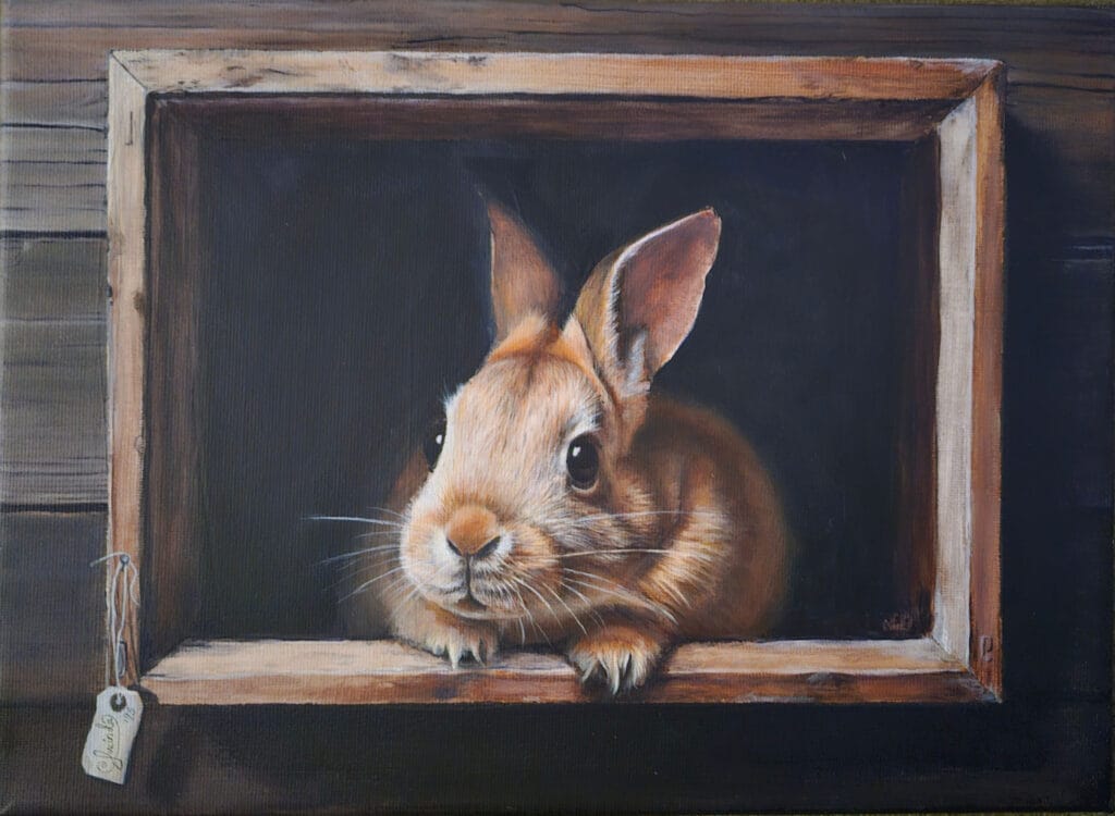 Rabbit in a Box by Lucinda Holland • Art Gallery SW