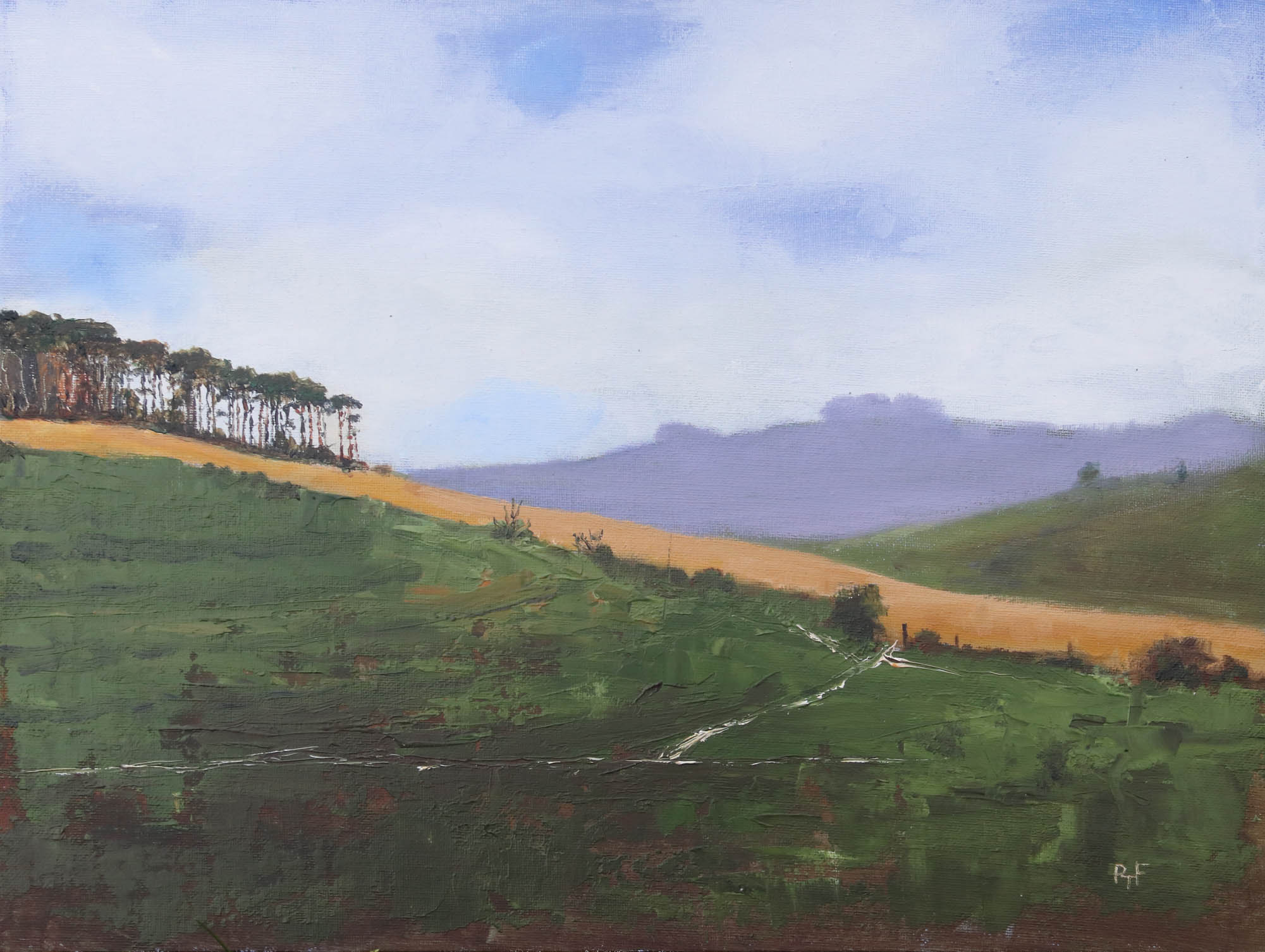 West Hill, Salisbury Plain. BY PETER FRENCH • Art Gallery SW